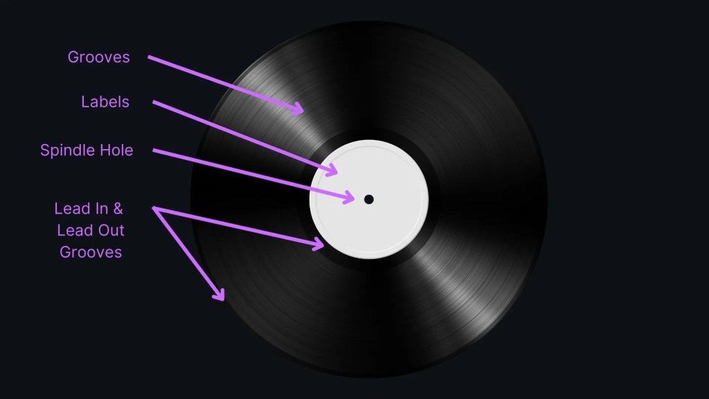How Do Vinyl Records Work? The Needle Shouldn’t Be Able to Do This ...