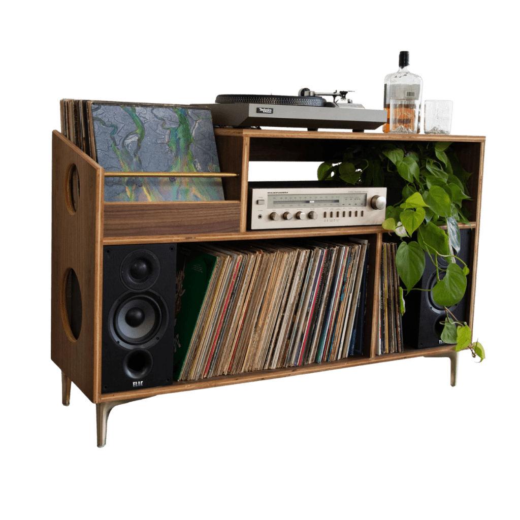The Best Vinyl Record Storage Ideas - Recordbuilds